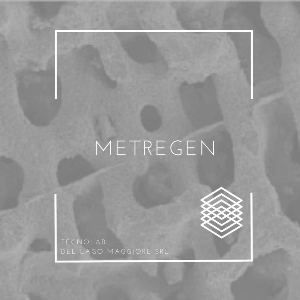 Progetto Metregen | Tecnolab del Lago Maggiore Srl